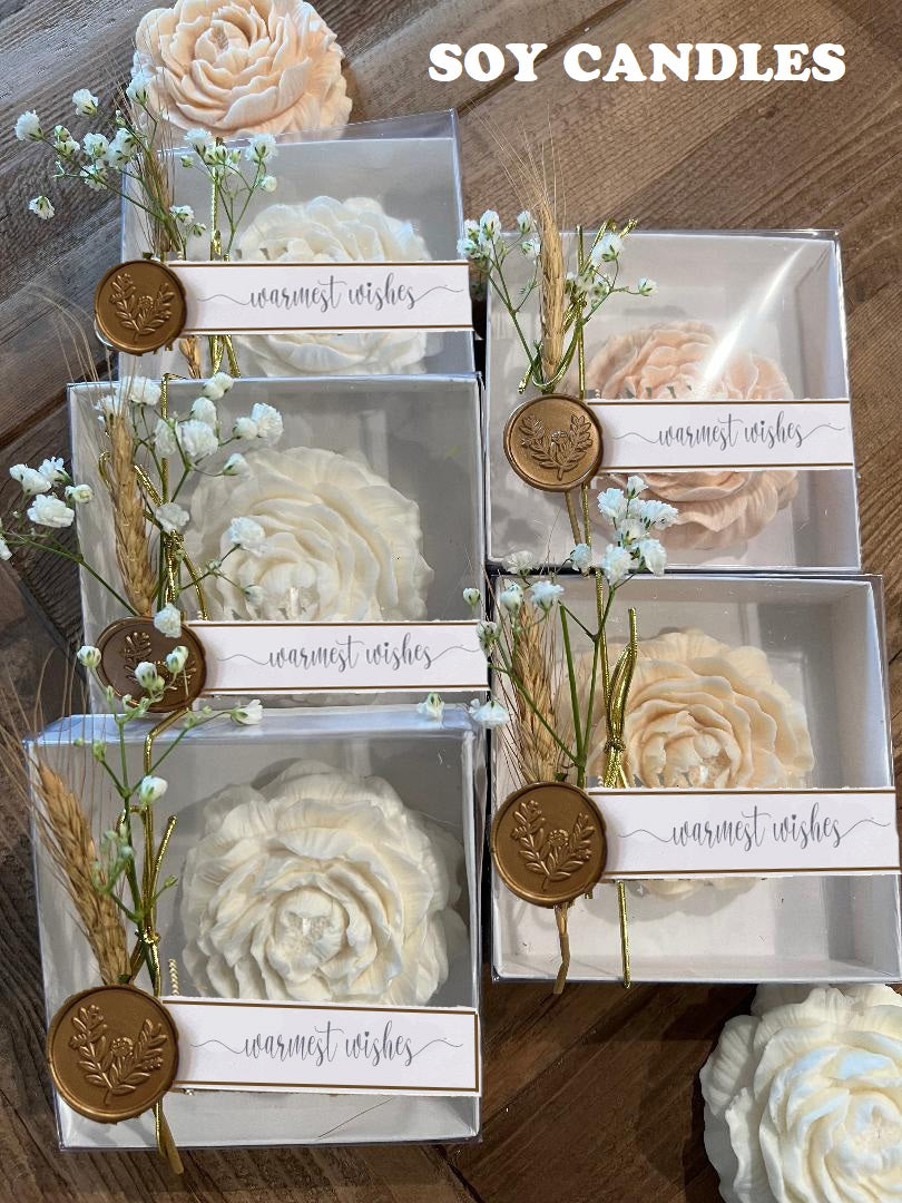 ABES_6656f955-2893-42ca-9b29-80b82df8c103_1200x1200.jpg?v=1704967213